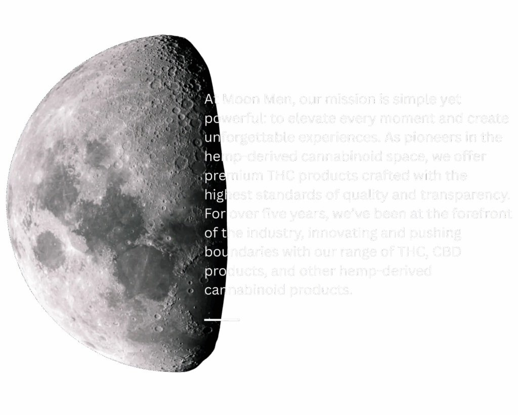 Home [moonmenllc.com]
